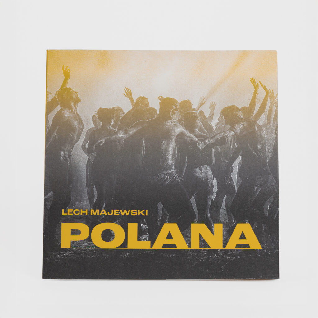 Lech Majewski. Polana - Muzeum Śląskie